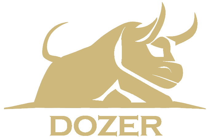 About Dozer Systems - IT Security and Software Development